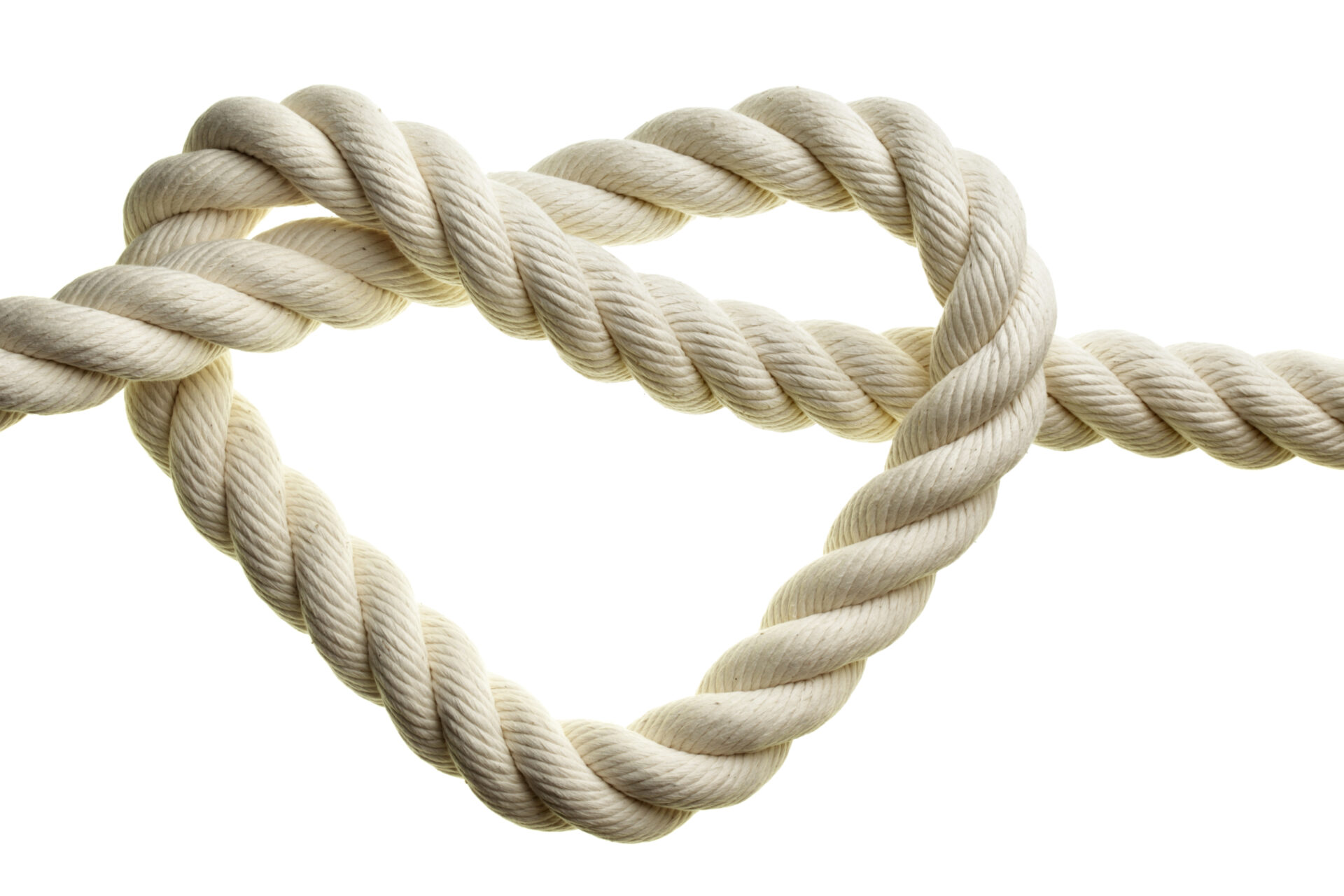 Untying the Knot - Brenda Reiss Untying the Knot - Brenda Reiss